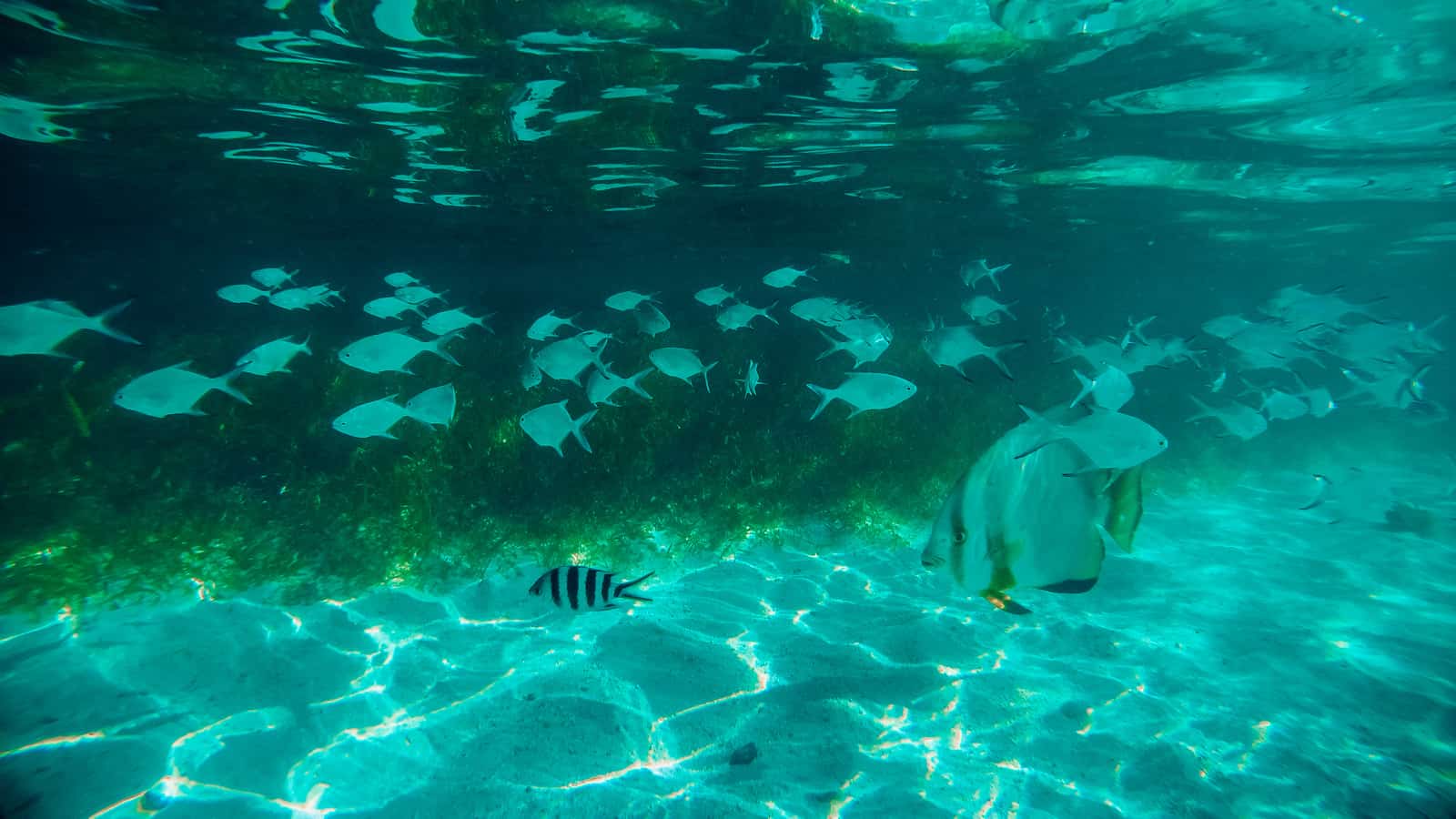 5 Days in Seychelles In December on a Budget: our Seychelles Itinerary