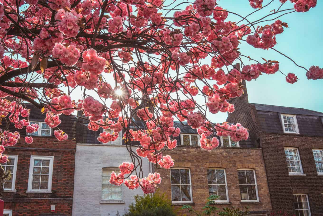 Highgate - the hidden gem of London | Best things to do in Highgate