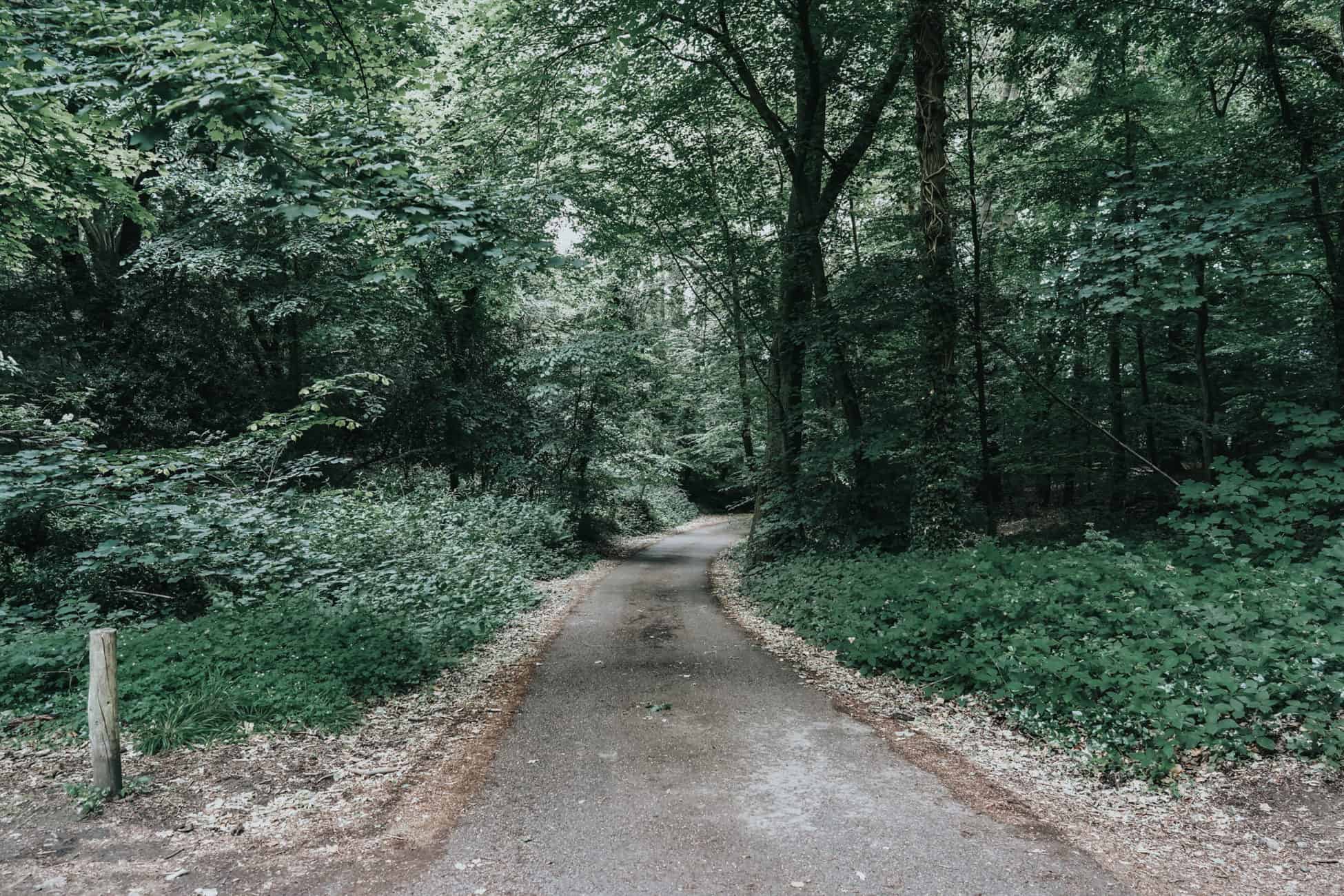 Amersham to Chesham Circular Walk: Picturesque Walks Near London