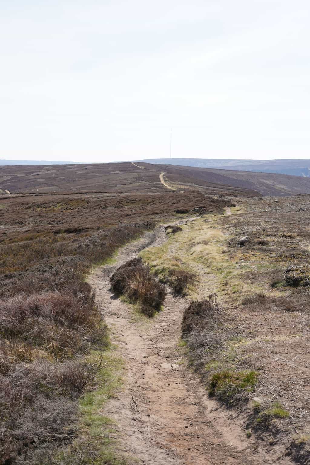 The best hike in North York Moors: Cold Moor, Urra Moor & the Wainstones