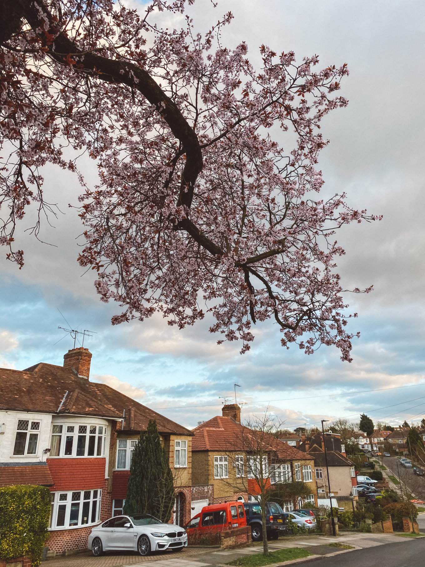 Is Southgate a good place to live in London? Southgate Area Guide