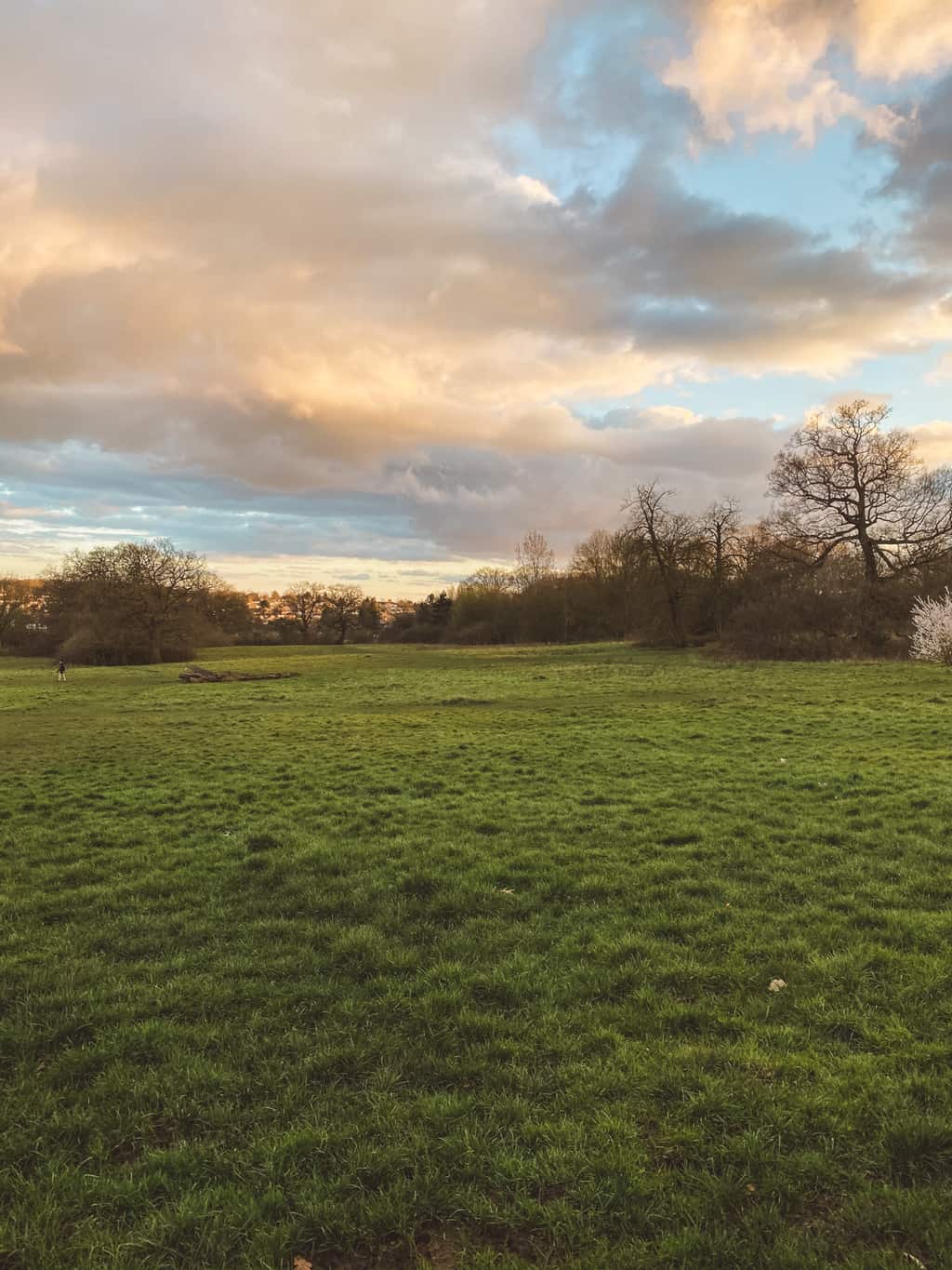 Is Southgate a good place to live in London? Southgate Area Guide